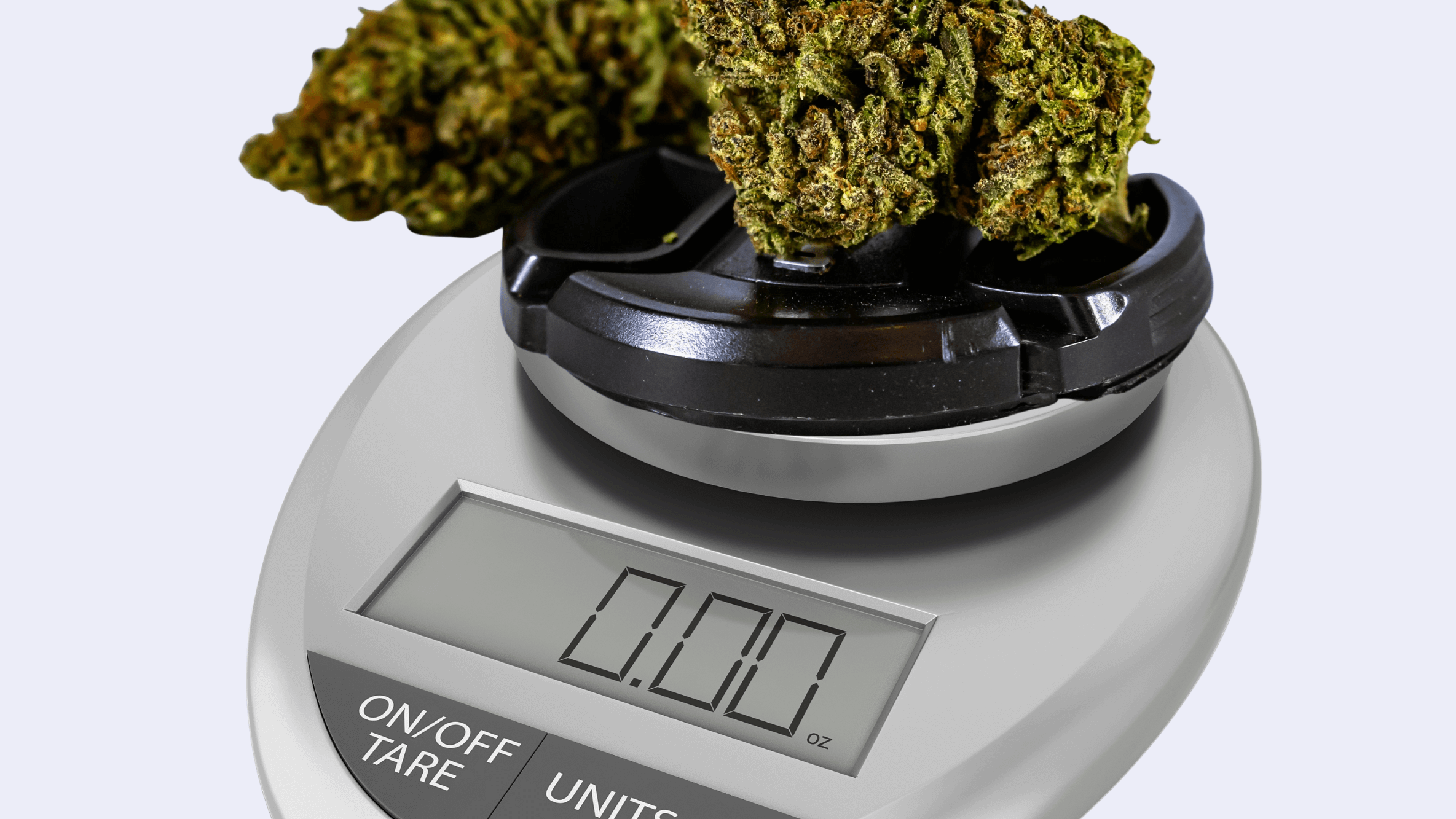 Understanding the Cost and Weight of an 8th of Cannabis in Florida